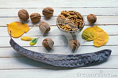 Autumn. Whole Walnuts, Walnut Kernels, Yellow Leaves And Pod Of ...
