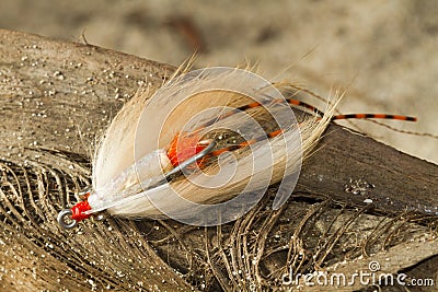 Avalon Bonefish Permit Fly - Fly Fishing Royalty Free Stock Photo ...