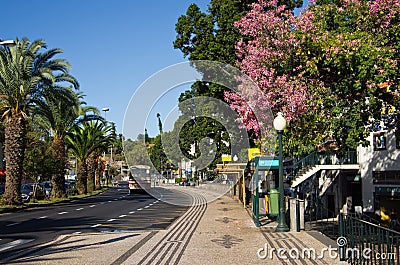 Avenida Do Mar, Funchal, Madeira. Editorial Image - Image: 21235650