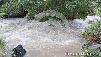 Awash River stock footage. Video of vegetation, africa - 80972384