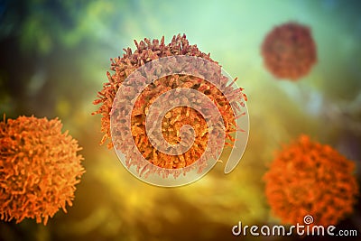 B-lymphocyte, Or B-cell Stock Illustration | CartoonDealer.com #185504836