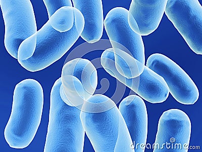 Bacillus Bacteria Royalty Free Stock Image - Image: 3347166