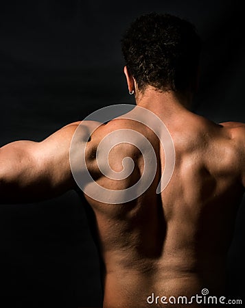 Back Of Muscular Male Bodybuilder Stock Image - Image: 6757691