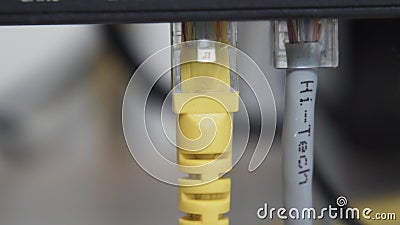 Network Cables Connected To Router or Switch at Office Stock Footage ...