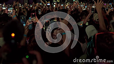 Back View of a Crowd of People at an Outdoor Concert Stock Footage ...