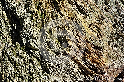 Background Of A Layered Metamorphic Rock Royalty-Free Stock Photo ...