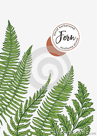 Background With Leaves Of Fern. Cartoon Vector | CartoonDealer.com ...