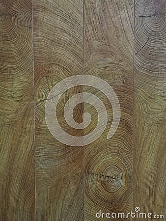 The Background With The Structure Of The Tree Belongs To The Breed Of ...