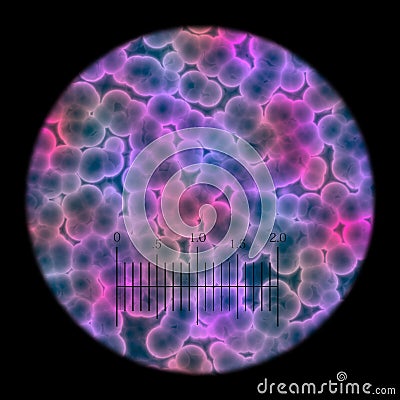 Bacteria Cells Royalty Free Stock Photography - Image: 23038317
