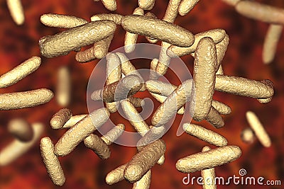 Bacteria Citrobacter, Gram-negative Coliform Bacteria In The Family ...
