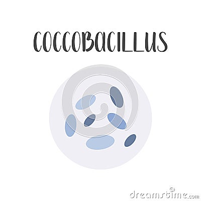 Coccobacillus. Bacteria Classification. Rod-shaped Shapes Of Bacteria ...
