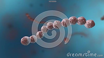 A Cocci are Any Bacteria or Archaeon that Have a Spherical, Oval, or ...