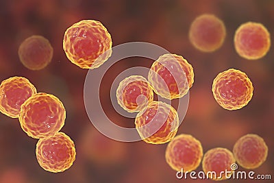 Bacteria Enterococcus, Illustration Royalty-Free Cartoon ...