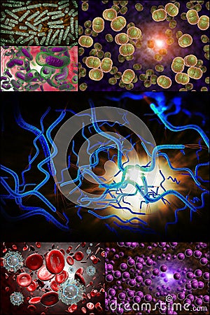 Bacteria Infection Collage Stock Photography | CartoonDealer.com #60222650