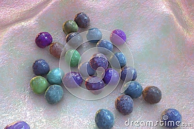 Bacteria Methicillin-resistant Staphylococcus Aureus MRSA Stock ...