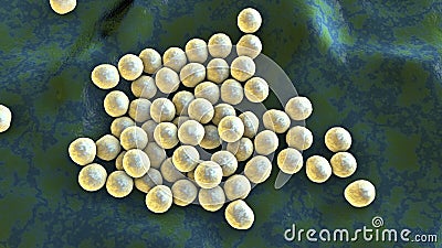 Bacteria Methicillin-resistant Staphylococcus Aureus MRSA Royalty-Free ...