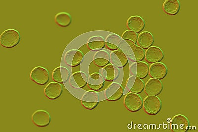 Bacteria Methicillin-resistant Staphylococcus Aureus MRSA Stock ...