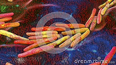 Bacteria Mycobacterium Tuberculosis Royalty-Free Stock Image ...