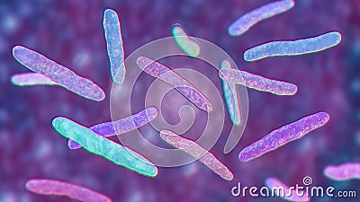 Bacteria Mycobacterium Tuberculosis, The Causative Agent Of ...
