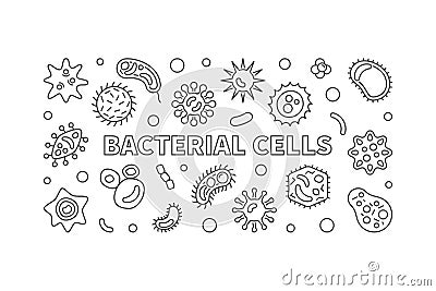 Bacterial Cells Horizontal Banner. Vector Outline Illustration | CartoonDealer.com #130883398