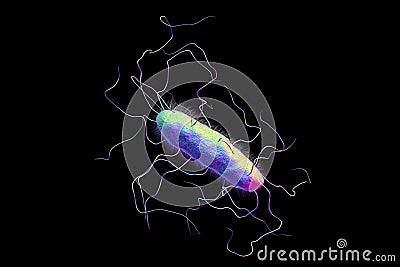 Bacterium With Pilli And Flagella Royalty-Free Illustration ...