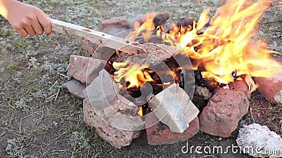 Baked Potatoes Over Charcoal on a Fire, Cooking on Fire Concept Stock ...