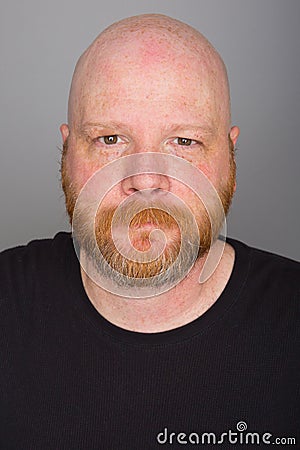 Bald Man With A Beard Stock Photo - Image: 47605531