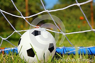 Ball In A The Grid Gate On The Grass. Stock Photography | CartoonDealer ...