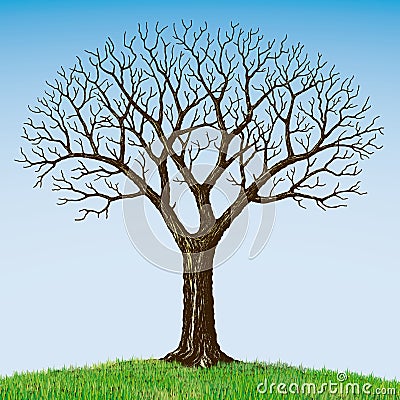Bare Tree Vector Illustration | CartoonDealer.com #18643900