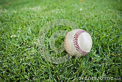 Baseball In Outfield Grass Stock Photography | CartoonDealer.com #20249810