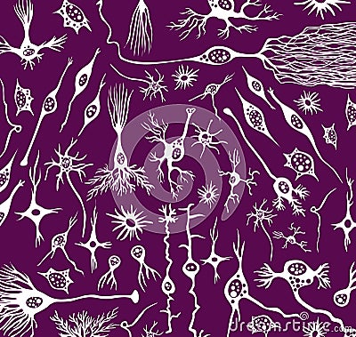 Neuroscience Illustration Showing Different Brain Cell Types. Stock ...