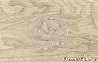 Texture And Color Of Premium Natural Teak Basic RGB Vector Illustration ...