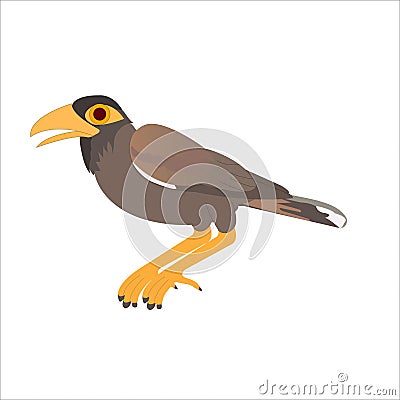 Cartoon Cute Myna 2d Illustration For 2d Animation | CartoonDealer.com ...