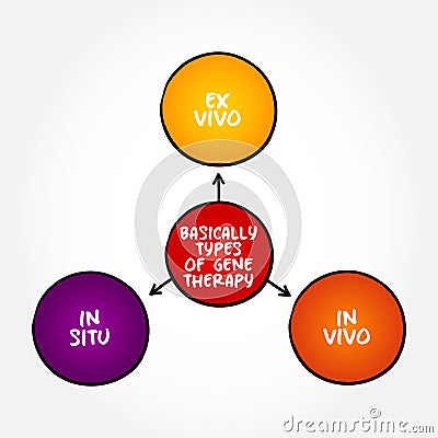 Basically Three Types Of Gene Therapy Mind Map Text Concept For ...