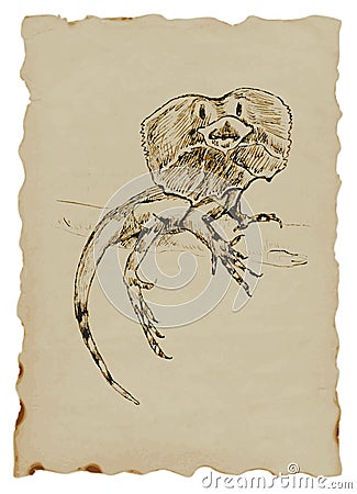 Basilisk Lizard Vector Illustration | CartoonDealer.com #24466204