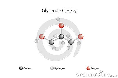 Molecular Formula And Chemical Structure Of Glycerol Vector ...
