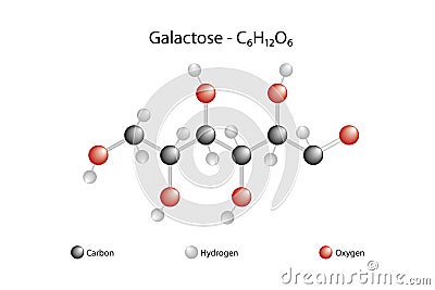 Molecular Formula And Chemical Structure Of Galactose Vector ...