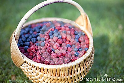 Basket Of Berries Stock Photography - Image: 22443432