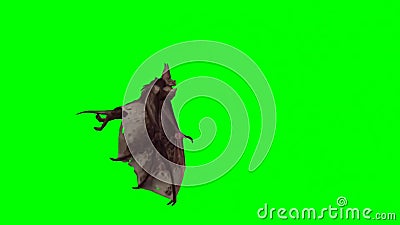 Bat Flying on Green Screen stock footage. Video of animation - 198590986