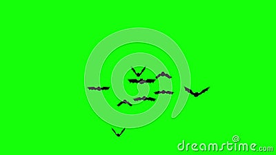 Bats Flying On Green Screen Stock Video - Video of mammal, animation ...