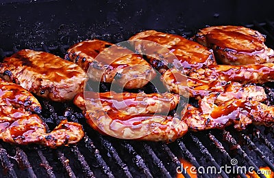BBQ Kip Bij De Grill Stock Foto - Afbeelding: 12030110