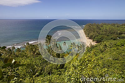 Beach In Kawaii, Hawaii. Stock Photography | CartoonDealer.com #187536740