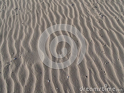 Beach Patterns, Background. Royalty-Free Stock Photo | CartoonDealer ...
