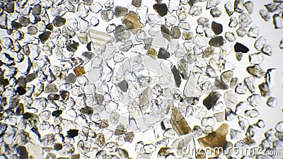 Beach Sand Particles Under the Microscope in 4K Stock Footage - Video ...