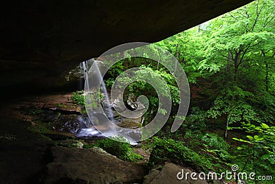 Beautiful Alabama Scenery Royalty Free Stock Photo - Image: 19815845