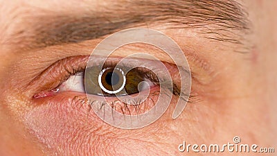 Beautiful Blinking Male Eye Close-up Stock Video - Video of fright ...