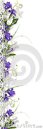 Beautiful Border With Purple Spring Flowers Royalty Free Stock Image ...