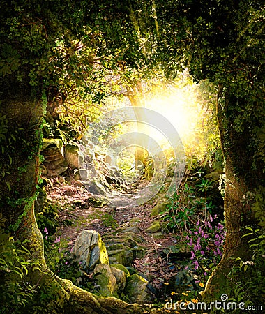Forest Path Stairs To a Heavenly Light Stock Photo - Image of forest ...