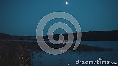Beautiful Lake on a Moonlit Night. Stock Video - Video of bushes, flora ...