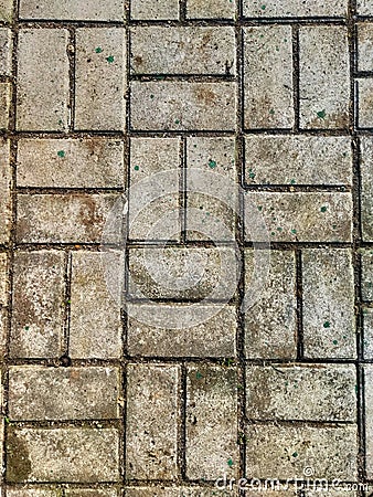 Beautiful Motifs On Paving Blocks Stock Photography | CartoonDealer.com ...